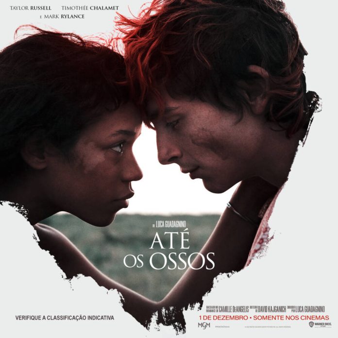 ‘Até os Ossos’: Suspense canibal com Timothée Chalamet estreia no Prime ...