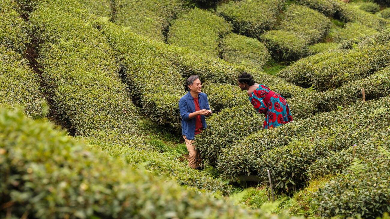 BLACK TEA - O AROMA DO AMOR - Filme | CinePOP