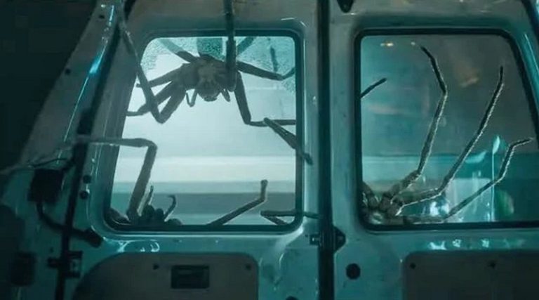 Crítica | Infestação – Aranhas atacam em Filme de TERROR Francês que dá ...