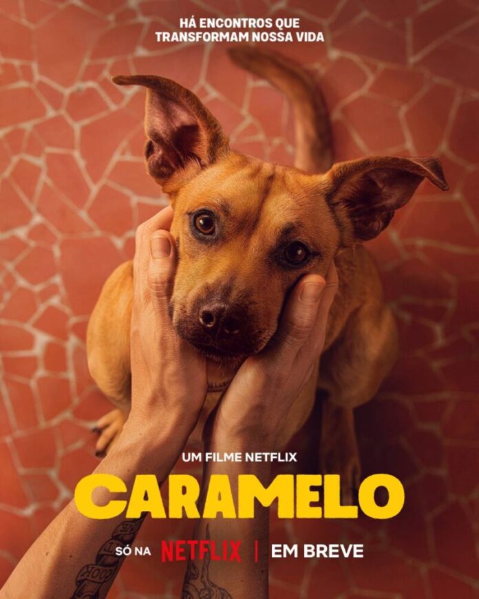 ‘Caramelo’: Rafael Vitti brinca com um cachorro nas imagens e no cartaz ...